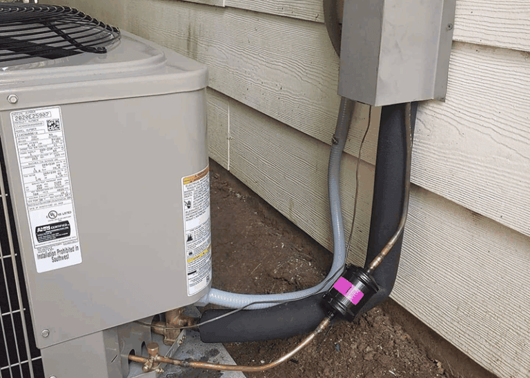 Common Pests That Destroy HVAC Systems & How to Keep Them Out